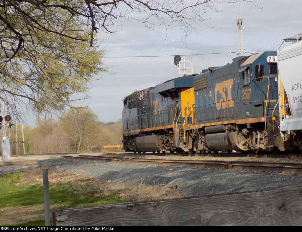 CSX 955